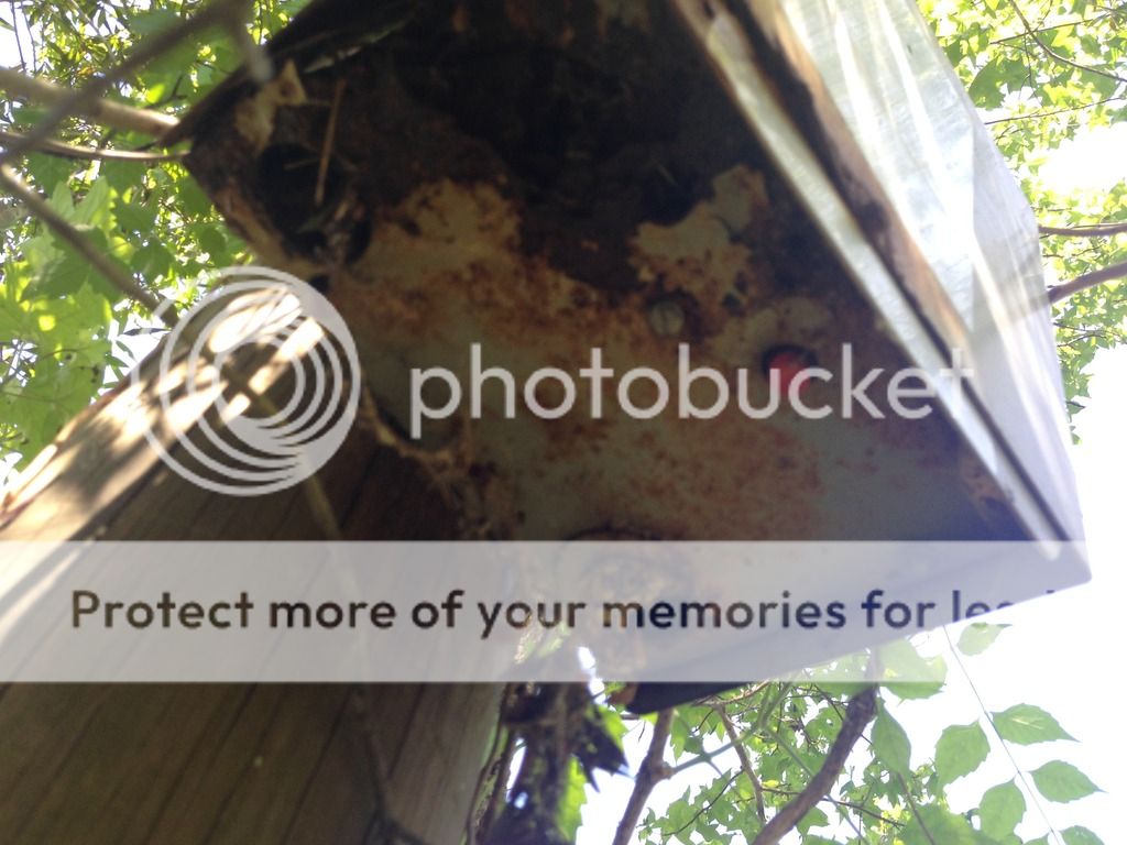 Duck Pond Pump | Electrician Talk